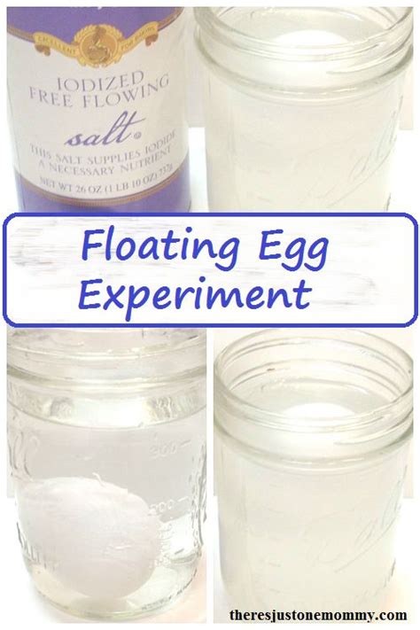 Floating Egg Experiment