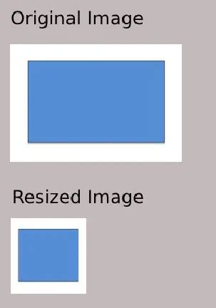 How To Resize Image In Python Delft Stack