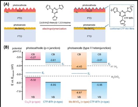 A Schematic Formation Of Hybrid Ctf Bthcu 2 O And Ctf Bthmobivo 4