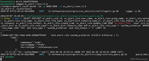 Go代码在docker上打包为镜像并在linux上运行docker 打包go项目到linux Csdn博客