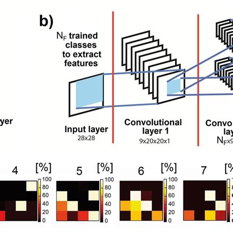 A Schematic Illustration Of The CNN For The Supervised Training Of Download Scientific