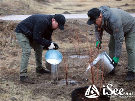 Хан Уул дүүрэгт тохижилт ногоон байгууламжийн 11 ажил хийнэ Isee Mn