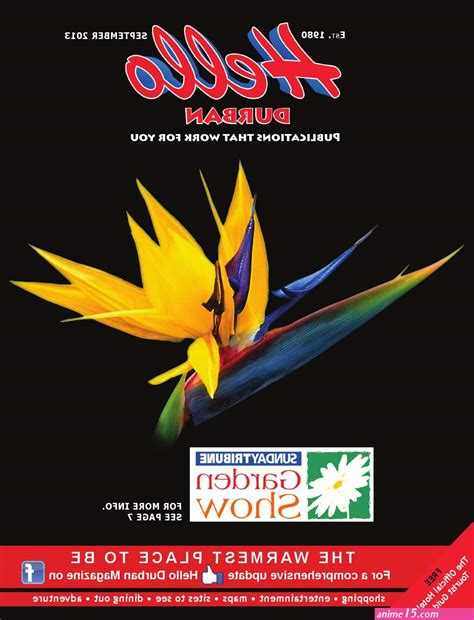 The Adelaide Inn Walkthrough Anime