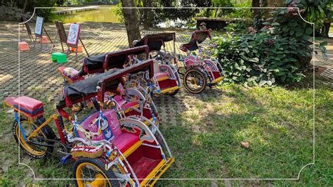 Pelita Desa Ciseeng Bogor Fasilitas Aktivitas Menarik And Tiket Masuk 2025