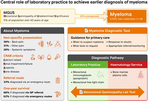 Causes Of Elevated Kappa And Lambda Light Chains With Normal Ratio