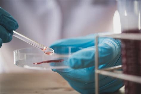 Premium Photo Midsection Of Scientist Performing Scientific Experiment