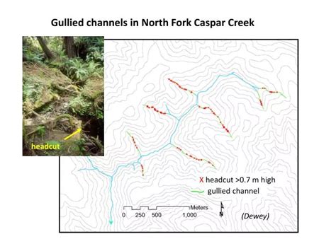 Ppt Effects Of Logging On Watershed Processes In North Fork Caspar