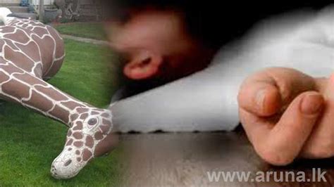 පිළිරුවක් කඩා වැටීමෙන් කුඩා දරුවෙකු මරුට අරුණ