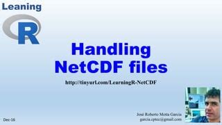 Learning R Handling NetCDF Files PPTX