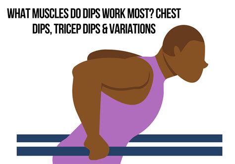 What Muscles Do Dips Work Most Chest Dips Tricep Dips Variations