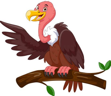 Vulture Cartoon Clip Art Cute Vulture Clipart Free Download