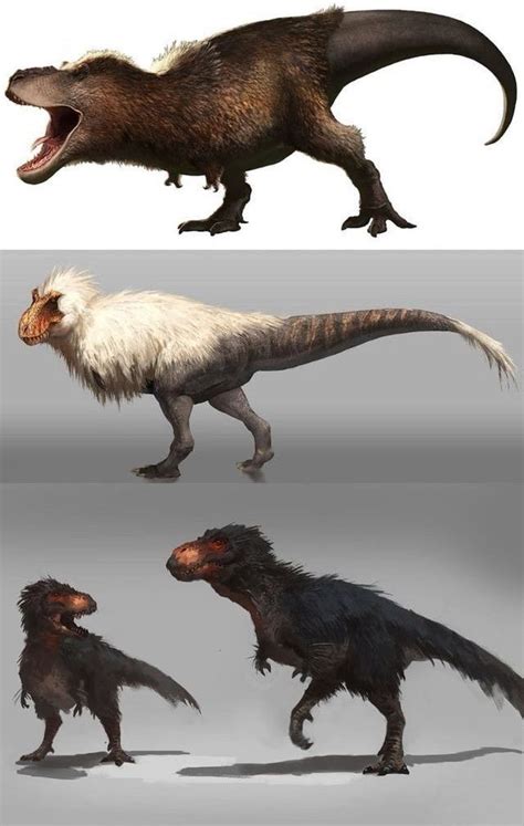 Fierce And Feathered Discover The True Appearance Of The Tyrannosaurus