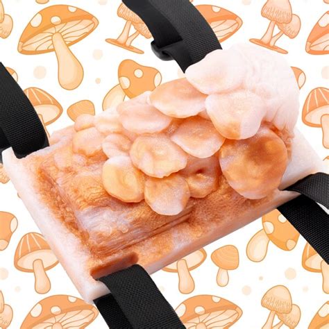 Mushroom Sex Toy Etsy