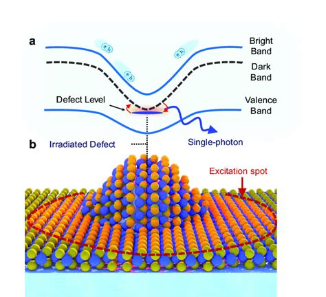 Illustration Of A Strain And Defect Engineered Wse 2 Single Photon Download Scientific Diagram