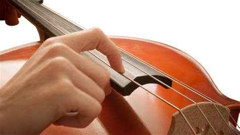 Best Strings For Cello The Ultimate Guide In 2020 Best Music Tool