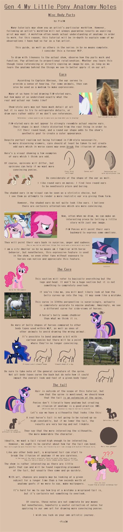 G4 Mlp Anatomy Notes Misc Ear Core Tail By Pix3m On Deviantart