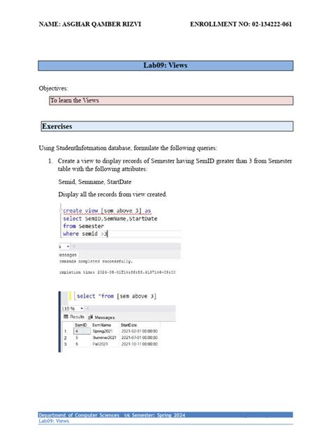 dbms lab9 pdf databases data management