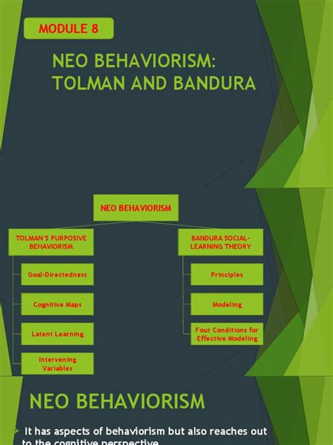 Neo Behaviorism Pdf Behaviorism Learning