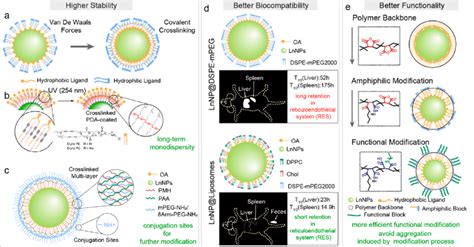 Exploration In Ligand Interaction And Encapsulation For Better Download Scientific Diagram