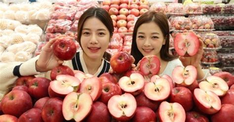 속이 빨간 사과 맛보세요