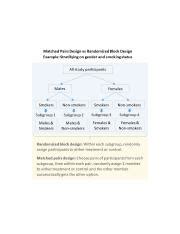 Matched Pairs Design Vs Randomized Block Design Png Matched Pairs Design Vs Randomized Block
