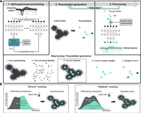 “pseudosorter A Self Supervised Spike Sorting Approach Applied To