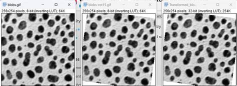 Qupath Create Warpy Registration Error Image Analysis Imagesc Forum
