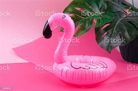 팽창식 핑크 미니 플라밍고와 핑크 백그라운드의 열대 잎 몬스터 창조적 인 여름 해변 개념 플라밍고 트렌드 풍선 장난감 개념에 대한 스톡 사진 및 기타 이미지 Istock