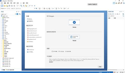 独家汉化 Xml开发编辑器 Oxygen Xml Editor V231 V26 中文注册版 心语家园 心语家园