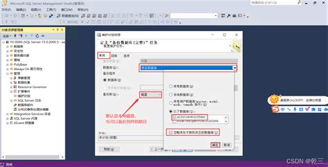 创建sql Server维护计划，添加修改sql Server维护子计划sql创建 维护计划代码 Csdn博客