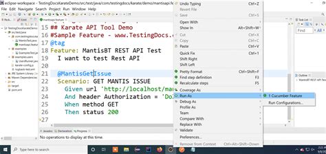 Create Karate Api Test Script