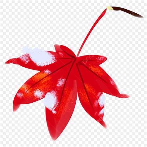 단풍 일러스트 메이플 리프 클립 아트 단풍 단풍잎 PNG 일러스트 및 PSD 이미지 무료 다운로드 Pngtree