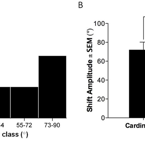 Pdf Adaptation Shifts Preferred Orientation Of Tuning Curve In The