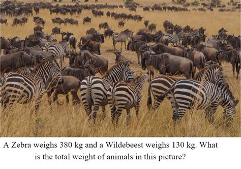 Rich Tasks Curiosedy