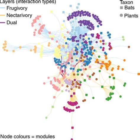 4 Schematic Representation Of Ecological Interactions Across Two Types