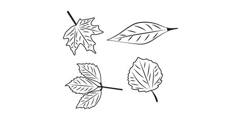 Classic Fall Leaves In Four Different Shapes Black And White Vector