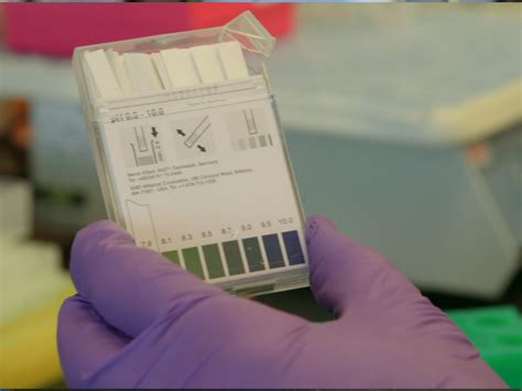 Video Harnessing The Bioorthogonal Inverse Electron Demand Diels Alder Cycloaddition For