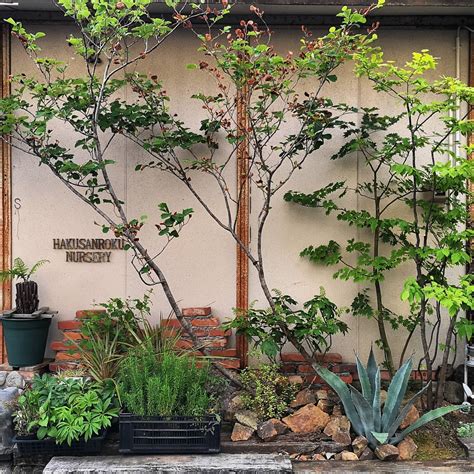 Shashinkauiux Shashinkauiux Added A New Photo — In