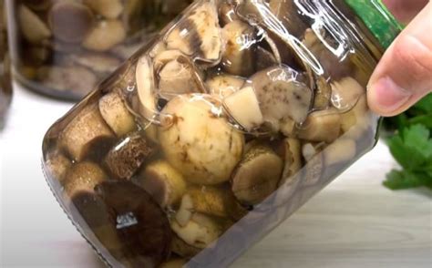Маринованные грибы на зиму в банке просто рецепт с фото пошагово