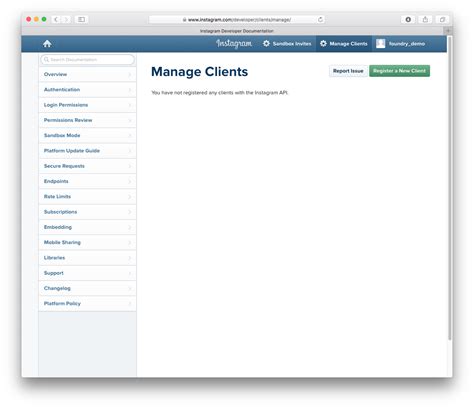 Instagram API Setup Distinctive Pixels