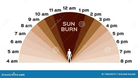 Sunburn Skin Damage Anatomical Cross Section Diagram Cartoon Vector CartoonDealer Com 181189125