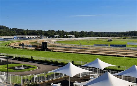 Wyong Racecourse Major Races News Tips How To Bet