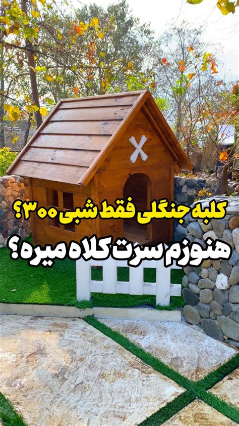 هنوزم از دیوار و شیپور اجاره میکنی سرت کلاه میره؟ هر روز شاهد تجربیات تلخ شما هستیم😕 اجاره کردن