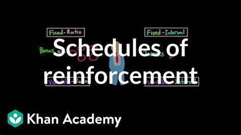 Which Type Of Reinforcement Schedule Is Most Effective 10 Most Correct Answers