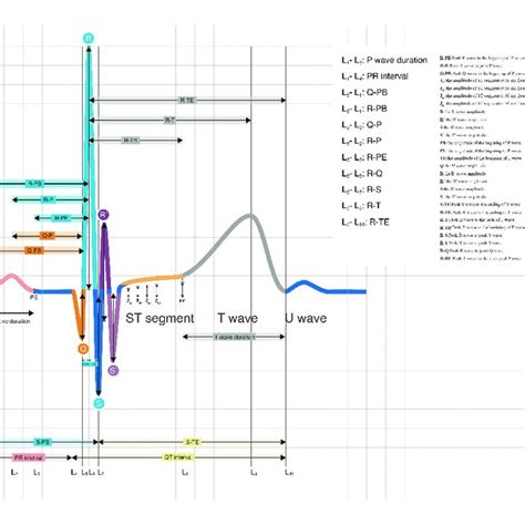Automatic Feature Extraction From Ecg The Abbreviations Of Ecg