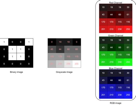What Are Sampling And Quantization At Rebecca Dortch Blog