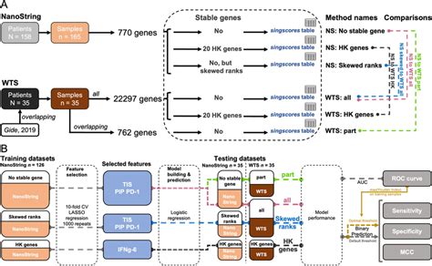 Workflow Outlining Singscores Calculation Across All Samples And