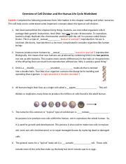 Understanding Cell Division Types Reproduction And DNA Course Hero