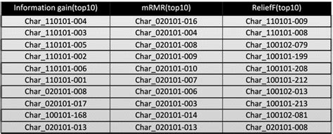 selected features by three different algorithms information gain