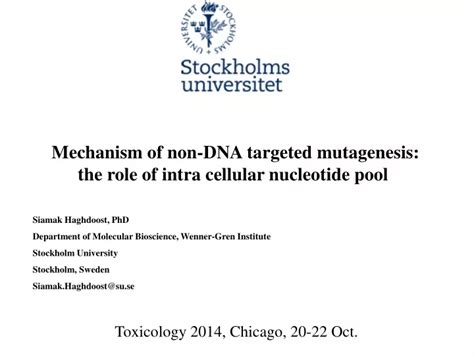 PPT Mechanism Of Non DNA Targeted Mutagenesis The Role Of Intra Cellular Nucleotide Pool